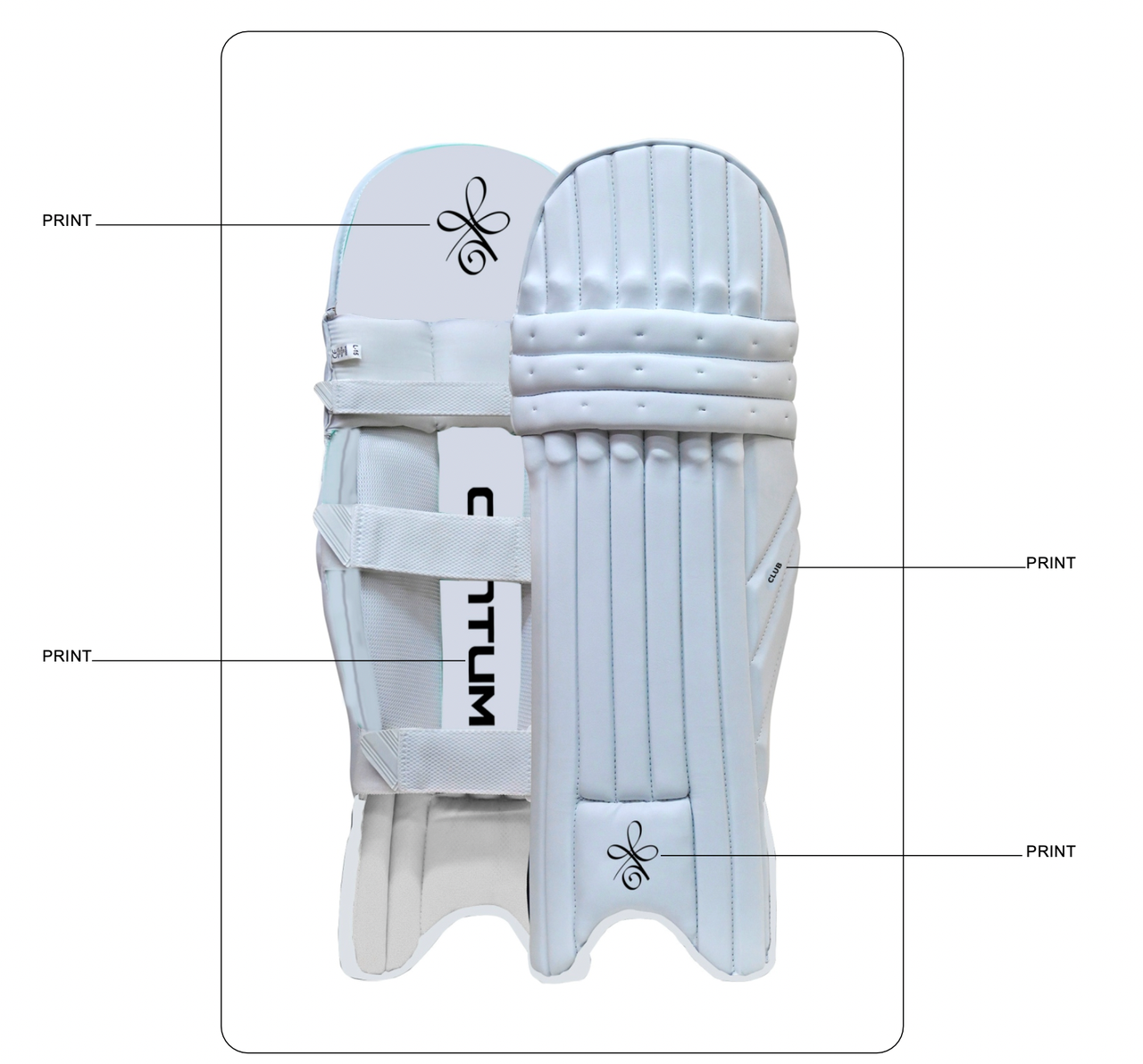 Revo Cricket