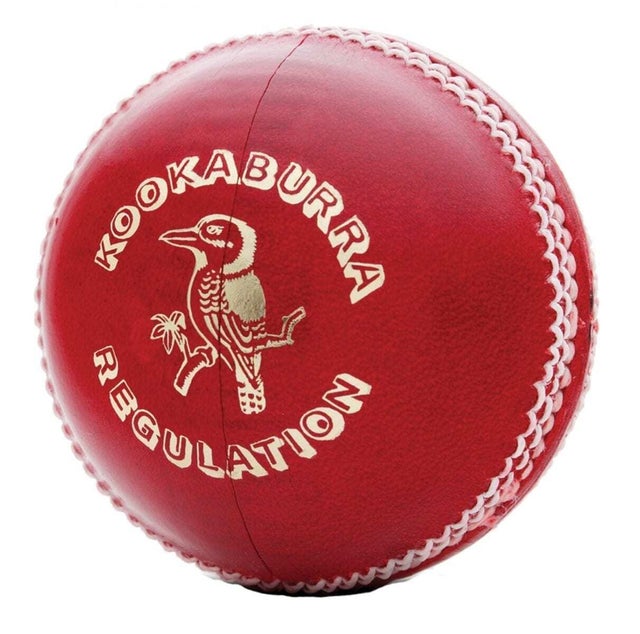 Revo Cricket